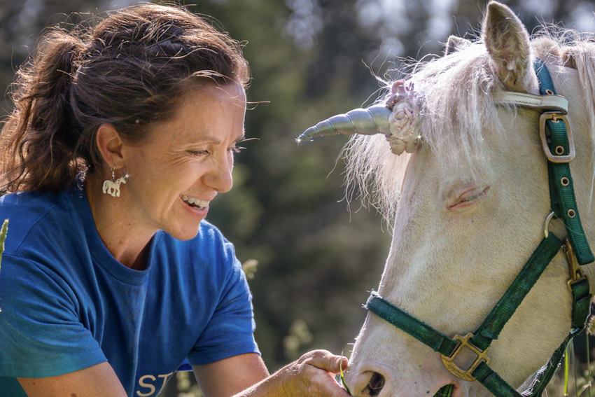 Meet the Team - Pony Go Round