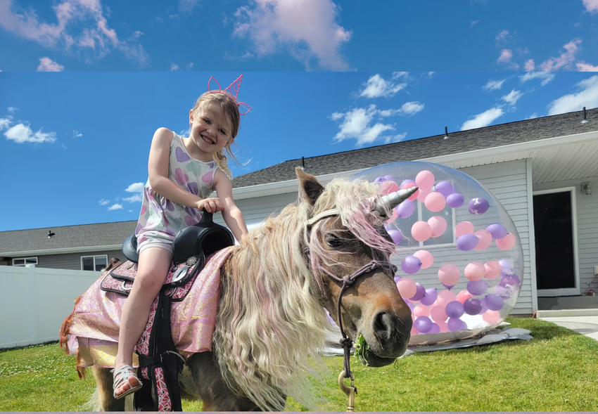 Home - Pony Go Round